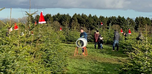 Pick Your Own Christmas Tree ‘Clic Sargent’ | Genco Construction Services